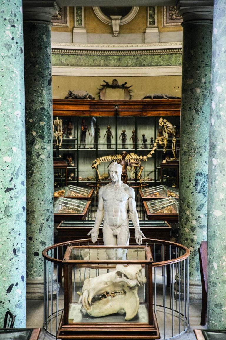 [LUM#3] Anatomy Museum: the adventure within - Université de Montpellier