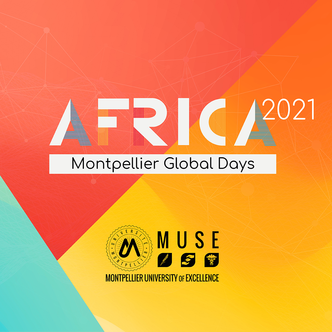 Les Global days et le Nouveau Sommet Afrique France en images ...
