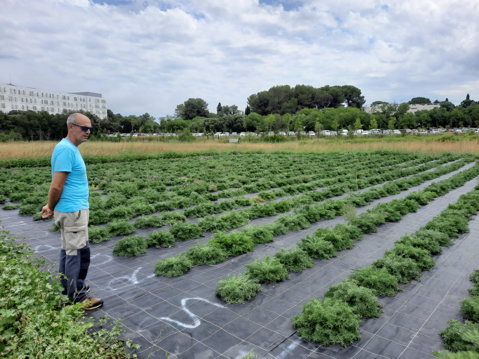 A l'UM la science [S02-ep29]: From festivals to Cefe's experimental ...