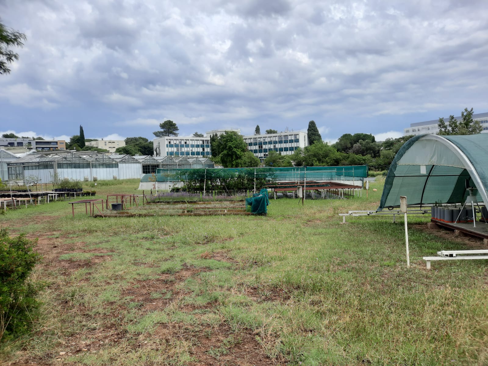 A l'UM la science [S02-ep29]: From festivals to Cefe's experimental ...