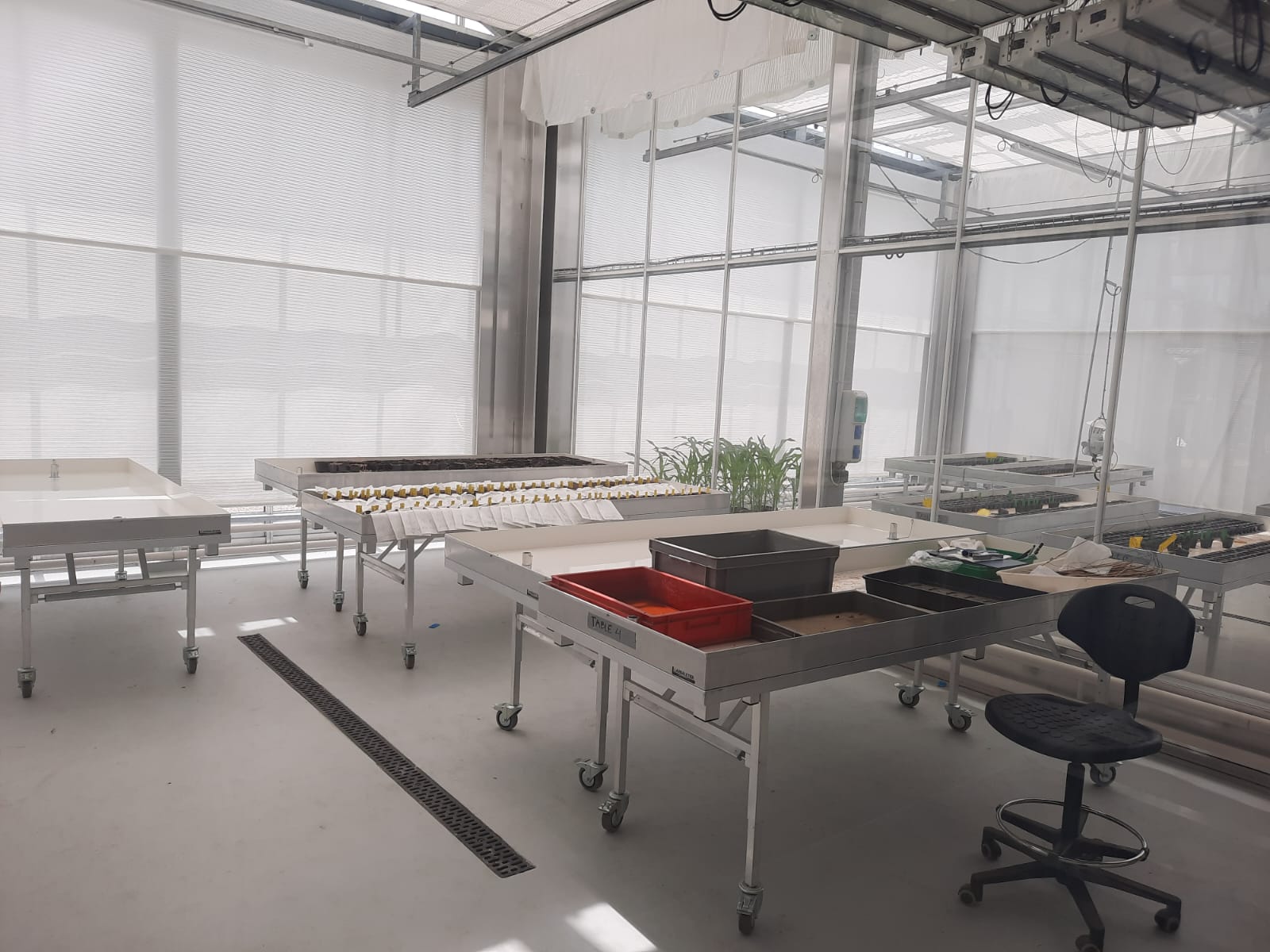 A l'UM la science [S02-ep29]: From festivals to Cefe's experimental ...