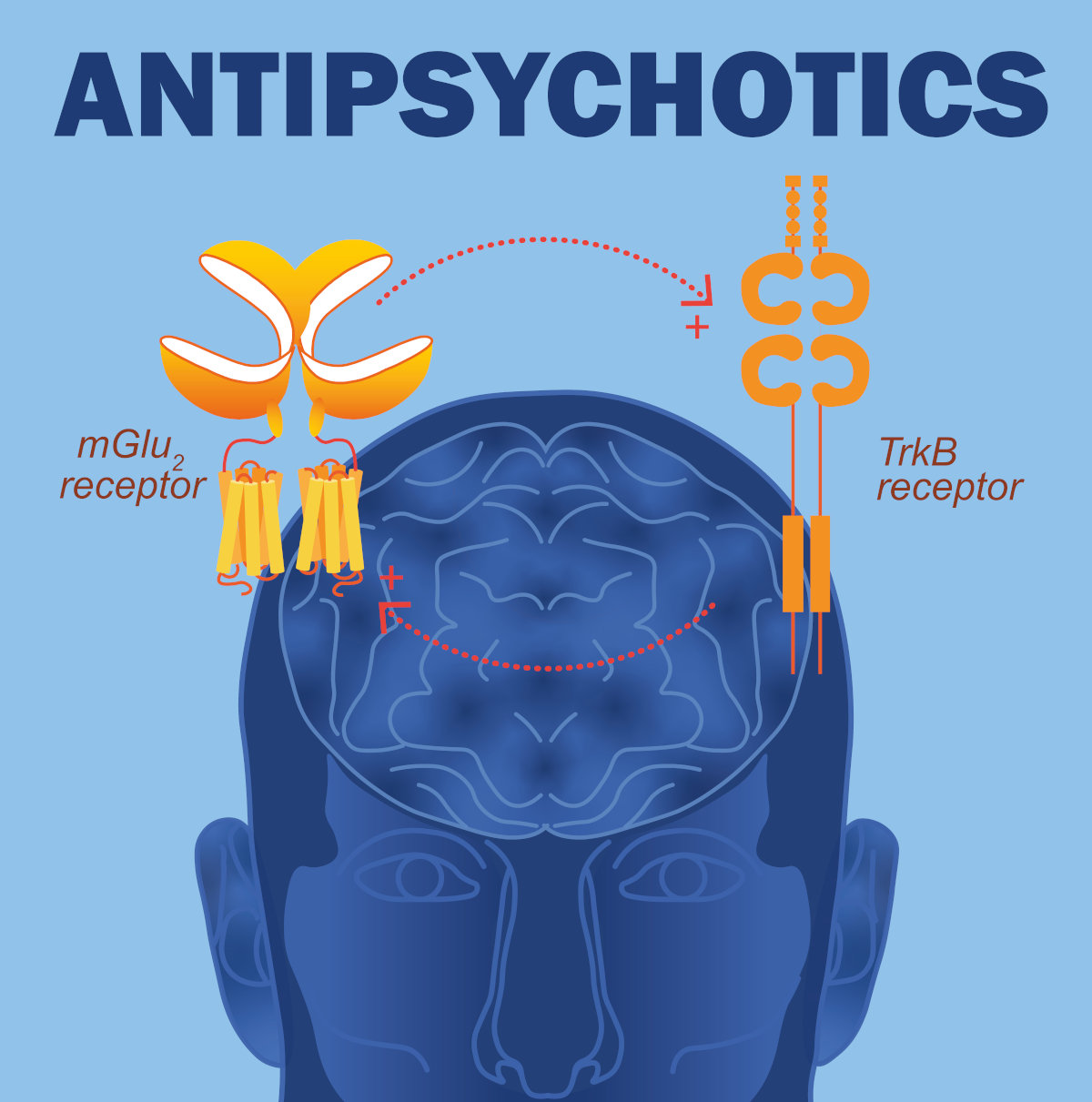 A new mechanism of action for the antipsychotics of tomorrow ...